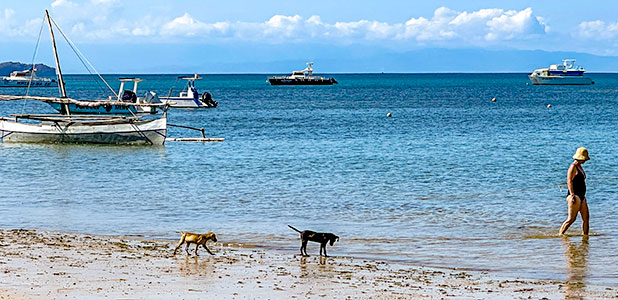 Mozambique Tours: 2026&2027 Best Private Holiday Packages