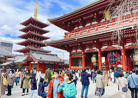 6 Days Tokyo Tour Package with Yokohama & Hakone