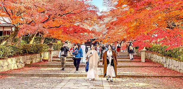 Japan Weather in December 2025: Cold Winter Climate