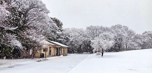 Hokkaido Weather in December, 2025: Chilly, Continuous Snow