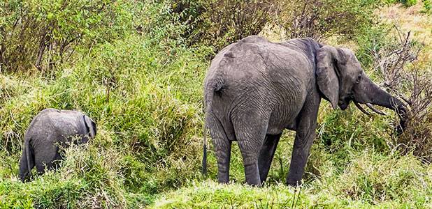 Kenya Weather, 2025: Climate, Seasons, Best Time to Visit