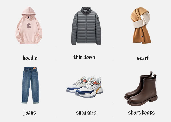 Kamakura Weather in January, 2026: Cold and Windy Climate