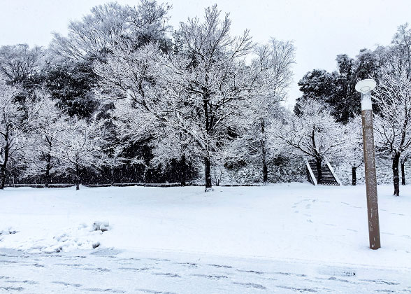 Kazakhstan Weather in January, 2026: Extremely Cold