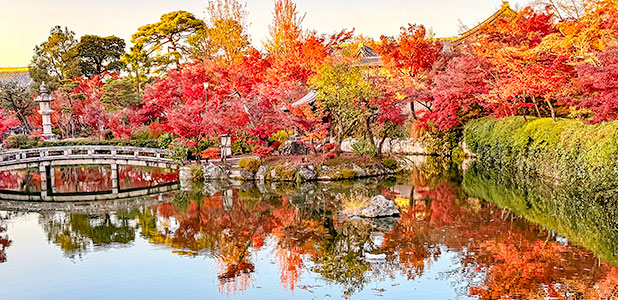 Kyoto Weather in December, 2026: Cold & Sunny Winter