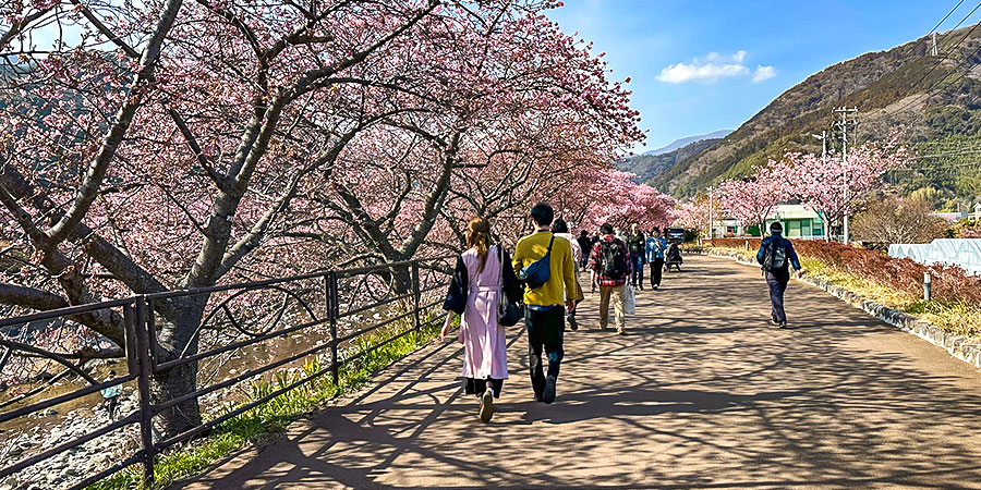 Nikko Weather in March, 2026: Gradually Warming Up; Dry