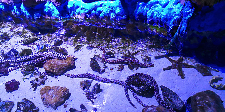 Okinawa Weather in May, 2026: Quite Warm; Rainy Season