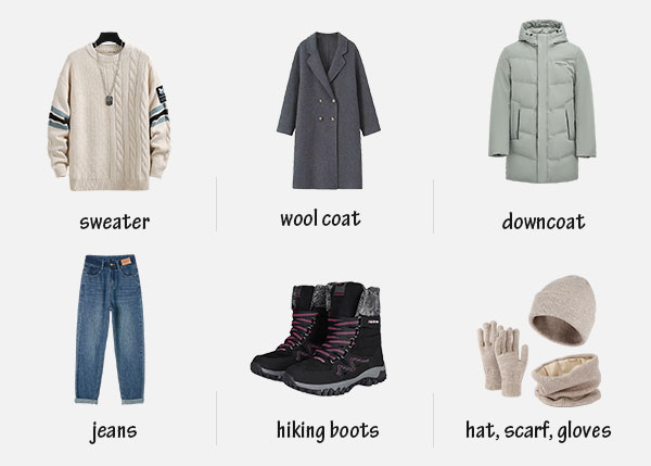 Sapporo Weather in January, 2026: Cold and Snowy Climate