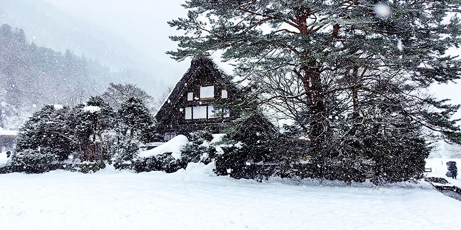 Sapporo Weather in December, 2025: Cold & Heavy Snow