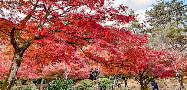 Sapporo Weather in October, 2026: Cool Climate; Fall Foliage