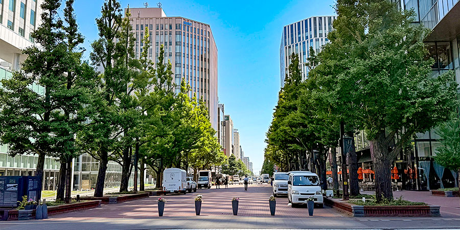 Sapporo Weather in May, 2026: Mild Climate; Sakura Blossom