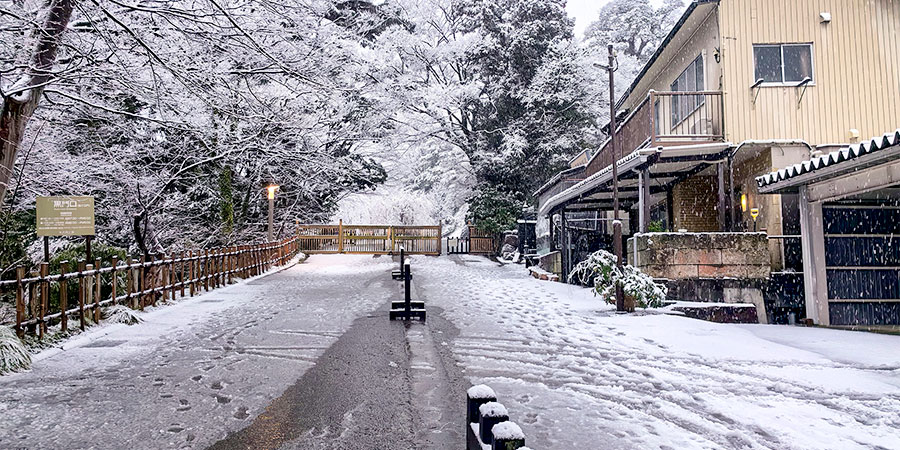 Sapporo Weather in November, 2025: Cold & Rainy Climate