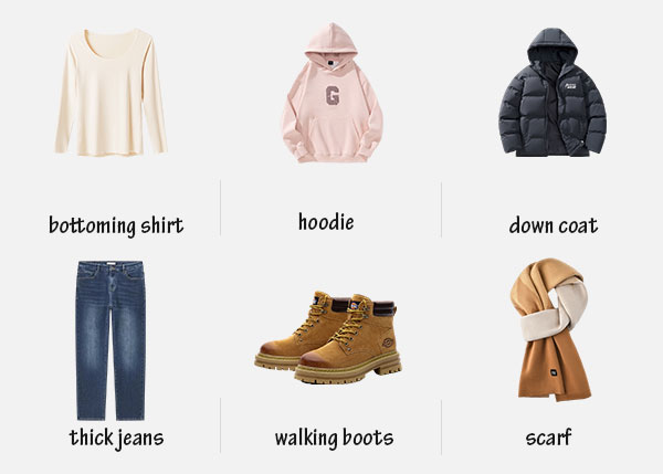 Tokyo Weather in January 2026, Coldest Month of the Year